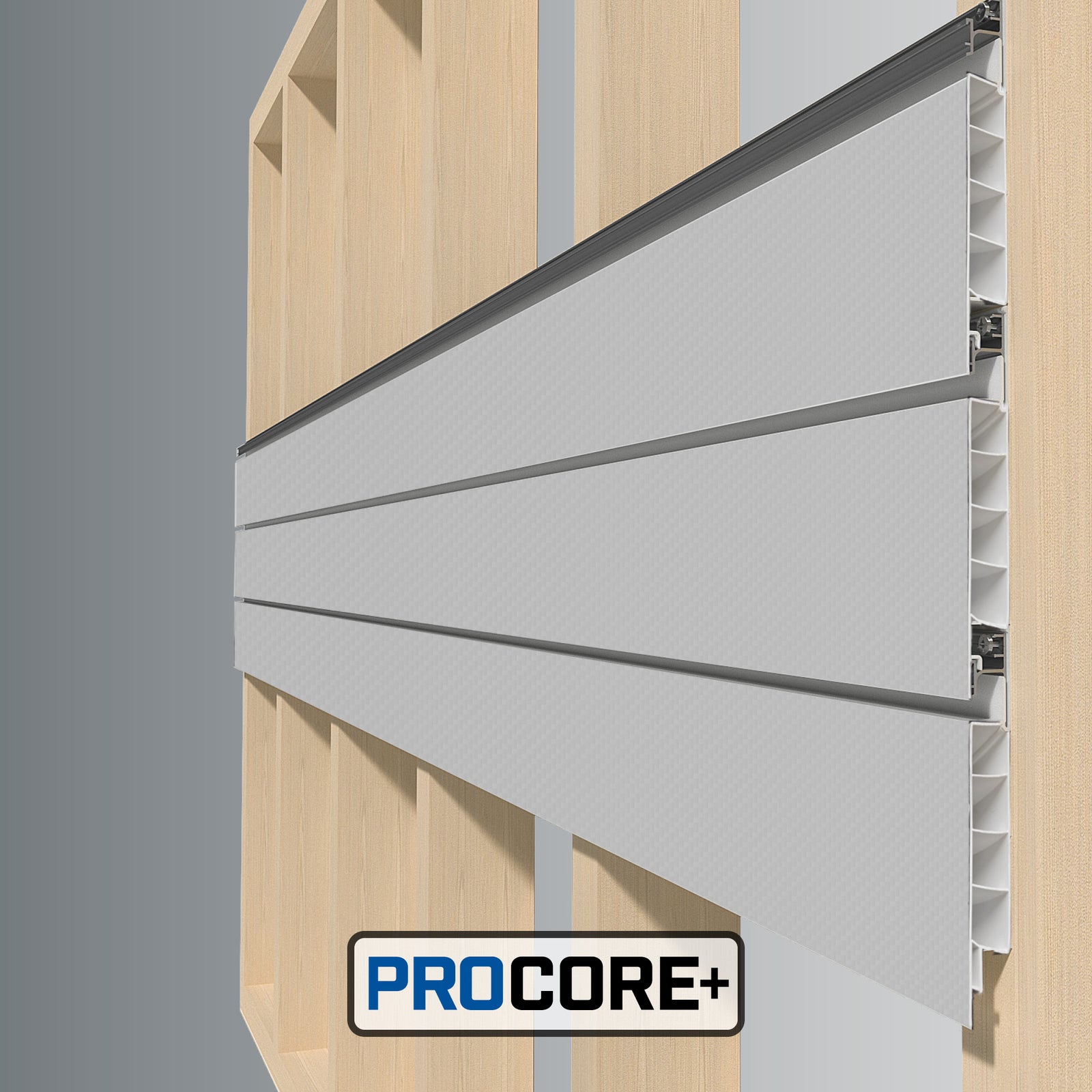 PROCORE PLUS